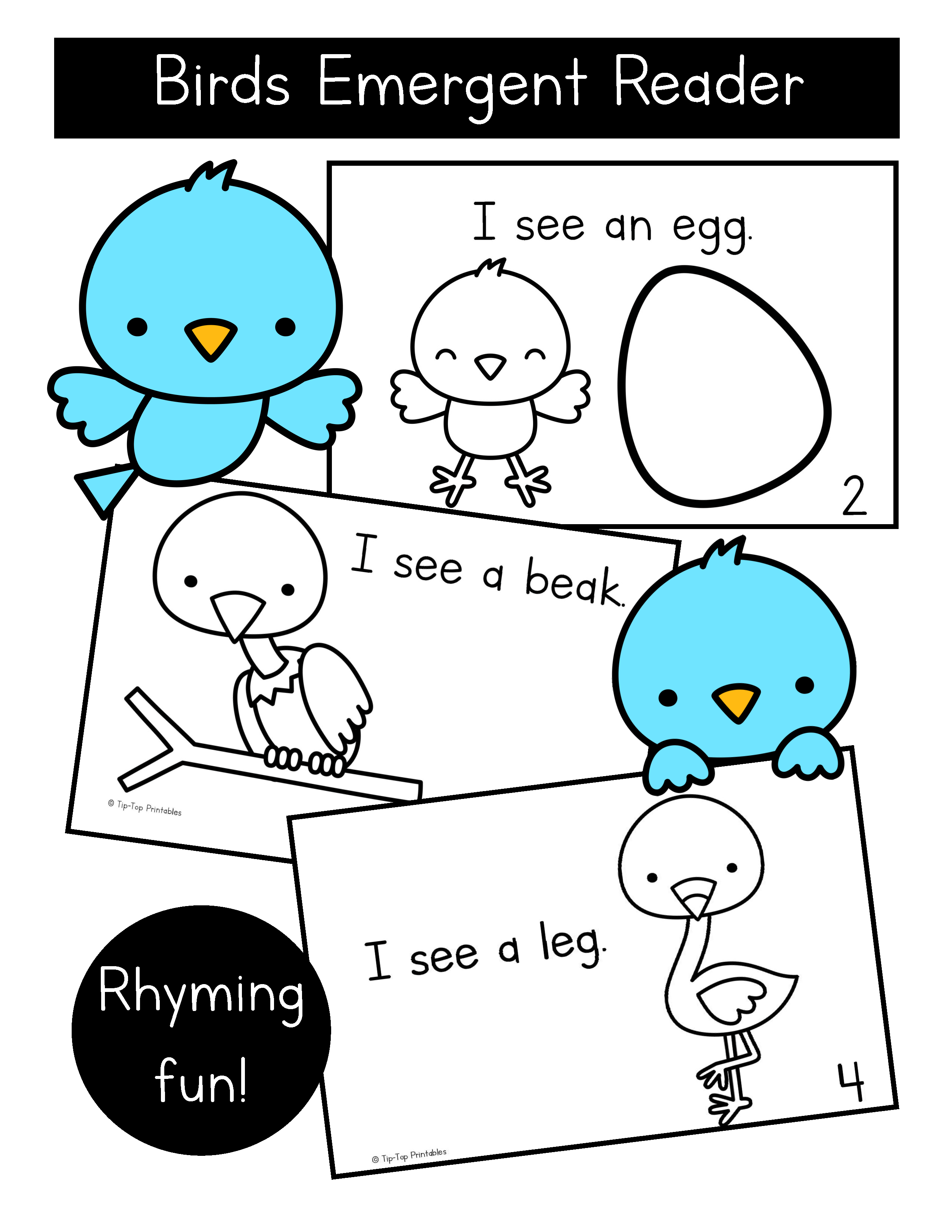 Birds Emergent Reader – The Tip-Top Printables Shop