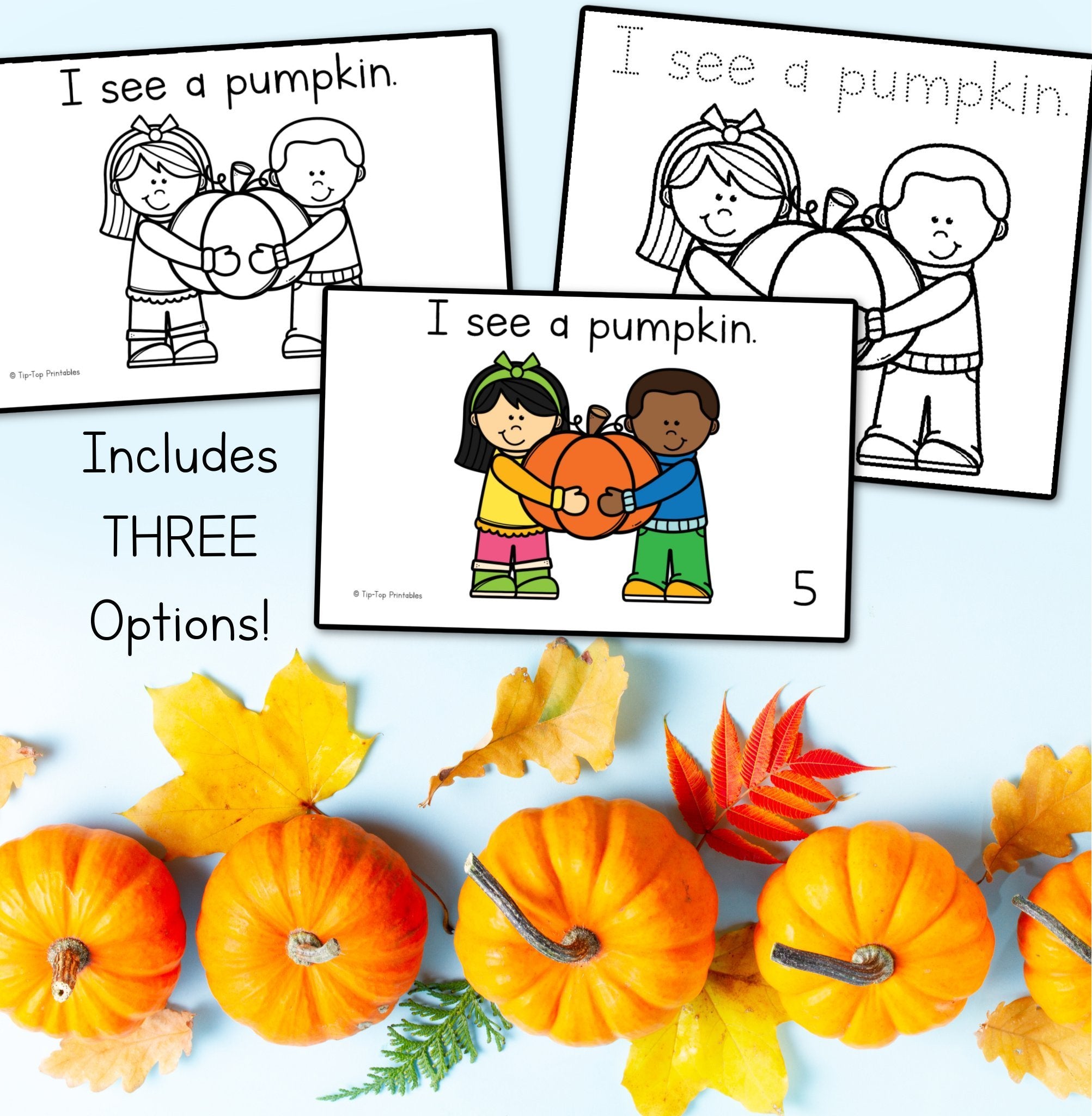Fall Emergent Reader – The Tip-Top Printables Shop