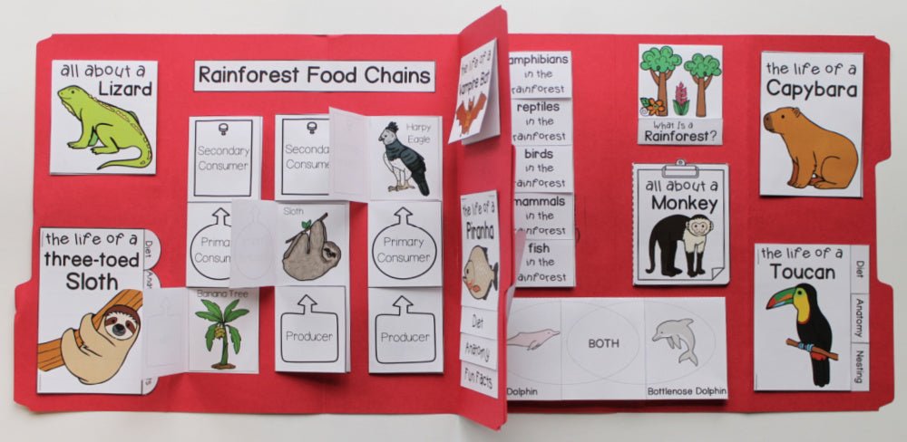 Habitat Lapbook BUNDLE – The Tip-Top Printables Shop