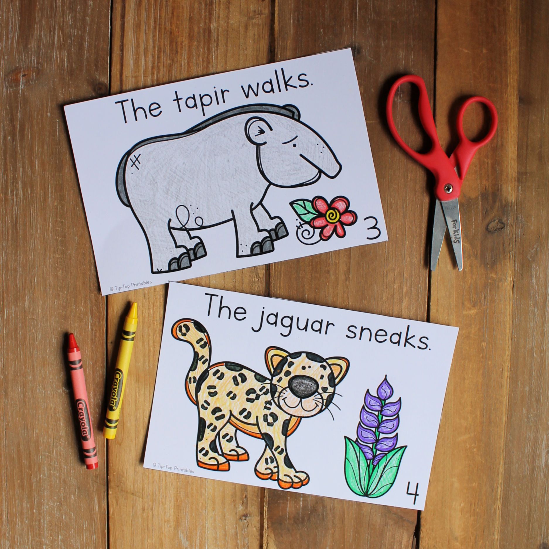 Rainforest Animals Emergent Reader – The Tip-Top Printables Shop