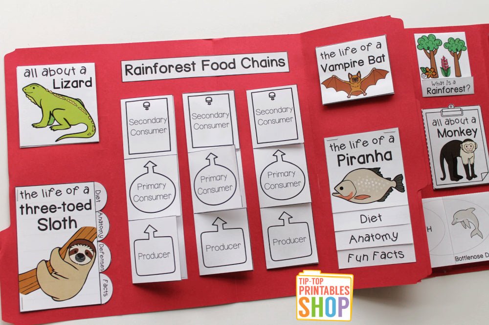 Rainforest Lapbook – The Tip-Top Printables Shop