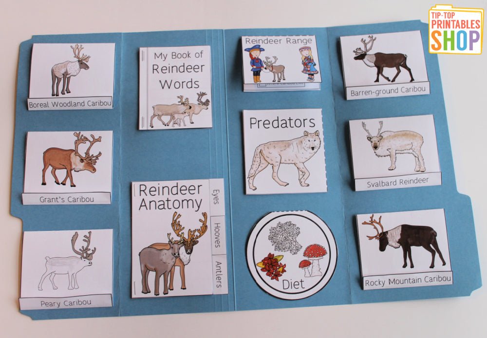 Reindeer Lapbook – The Tip-Top Printables Shop