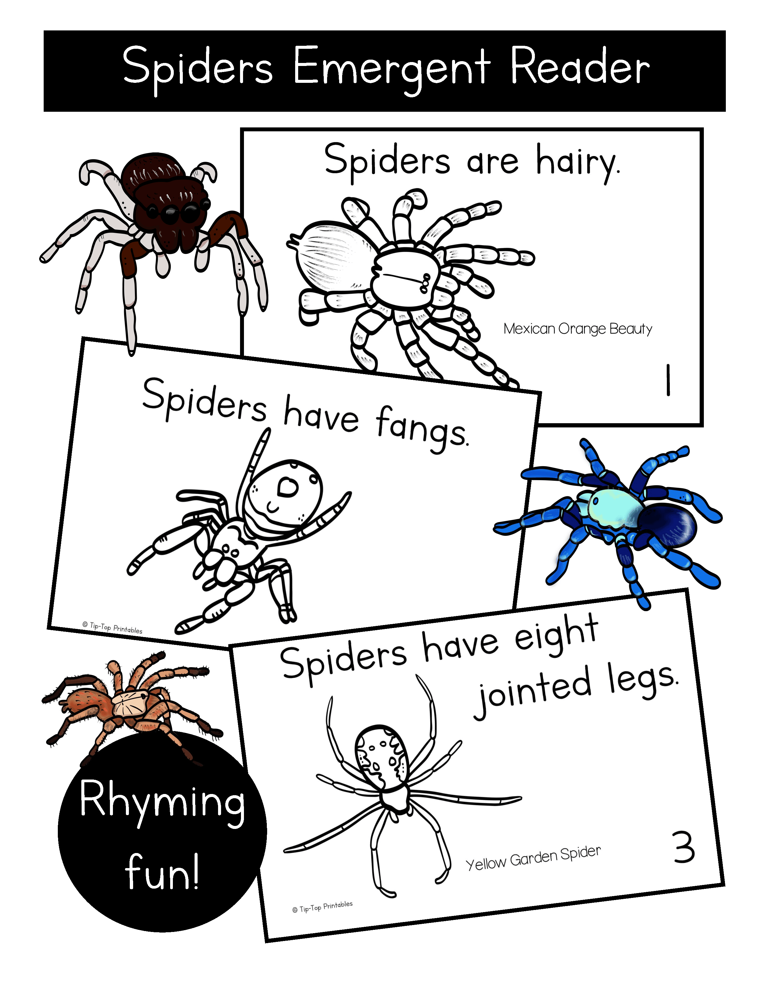 Spiders Emergent Reader – The Tip-Top Printables Shop
