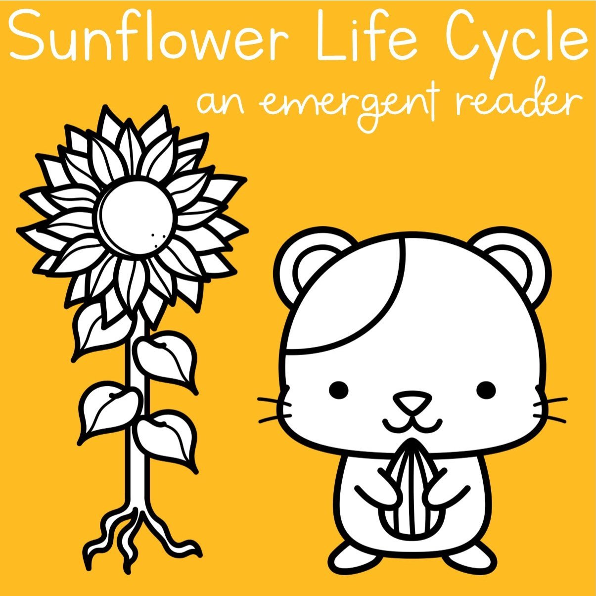 Sunflower Life Cycle Emergent Reader – The Tip-Top Printables Shop