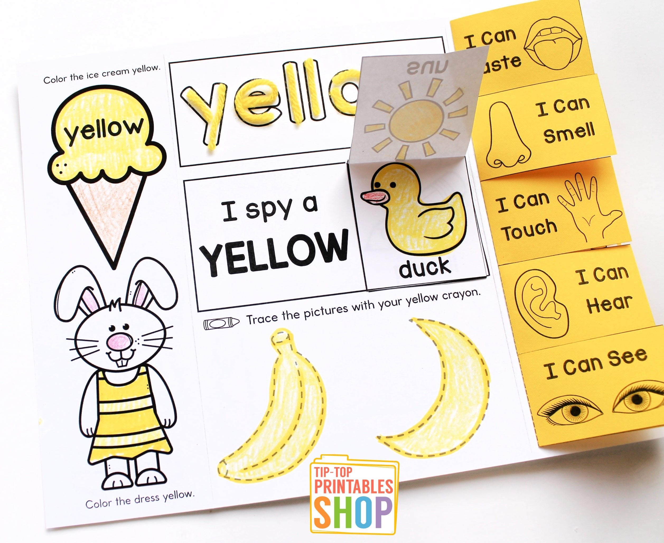 Color Lapbooks – The Tip-Top Printables Shop