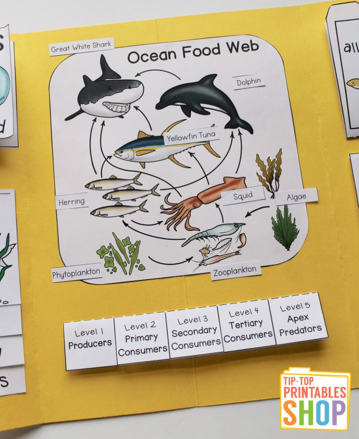Ocean Lapbook – The Tip-Top Printables Shop