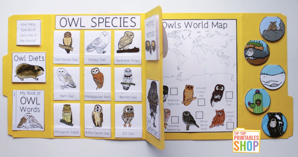 Owl Lapbook – The Tip-Top Printables Shop