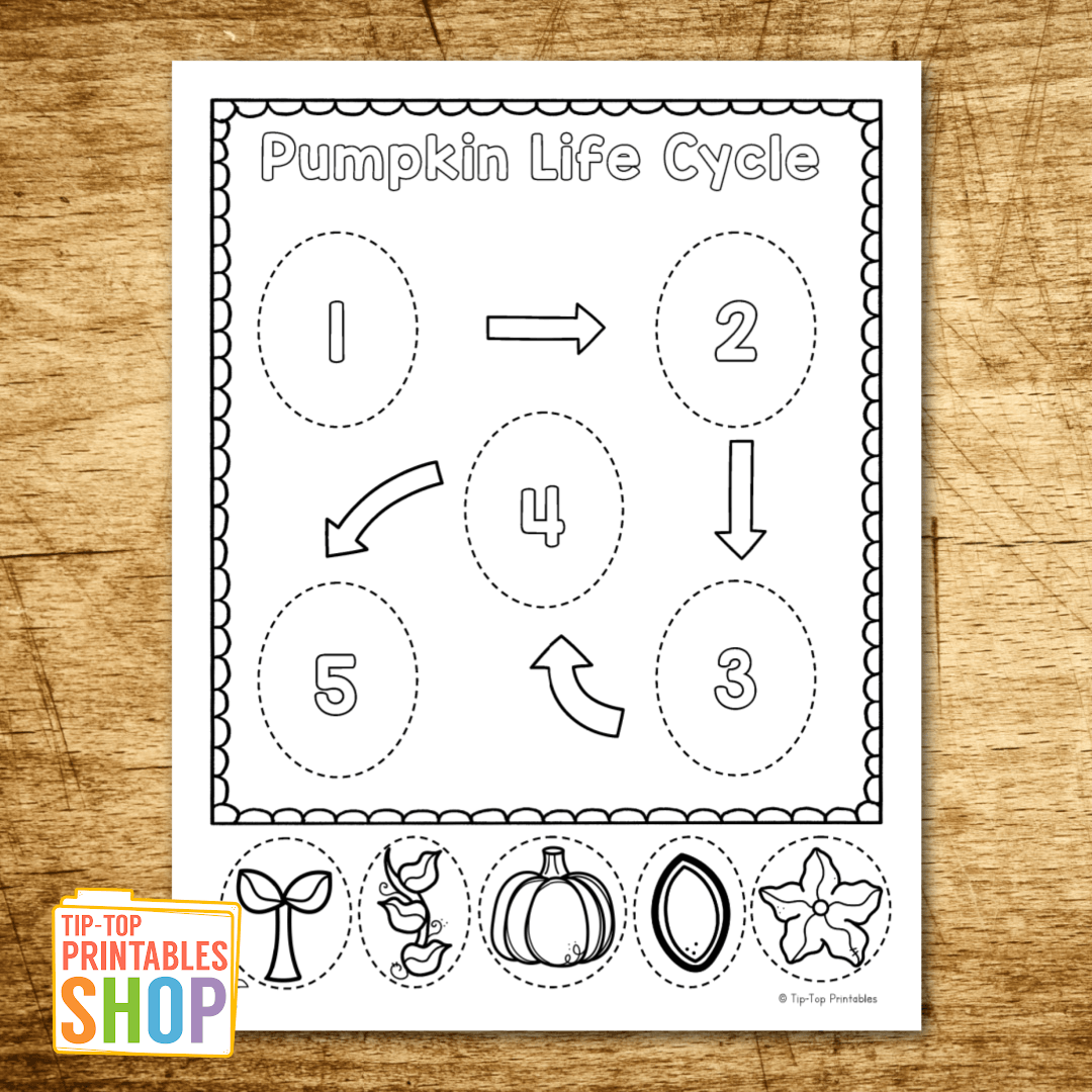 Pumpkin Life Cycle Booklet – The Tip-Top Printables Shop