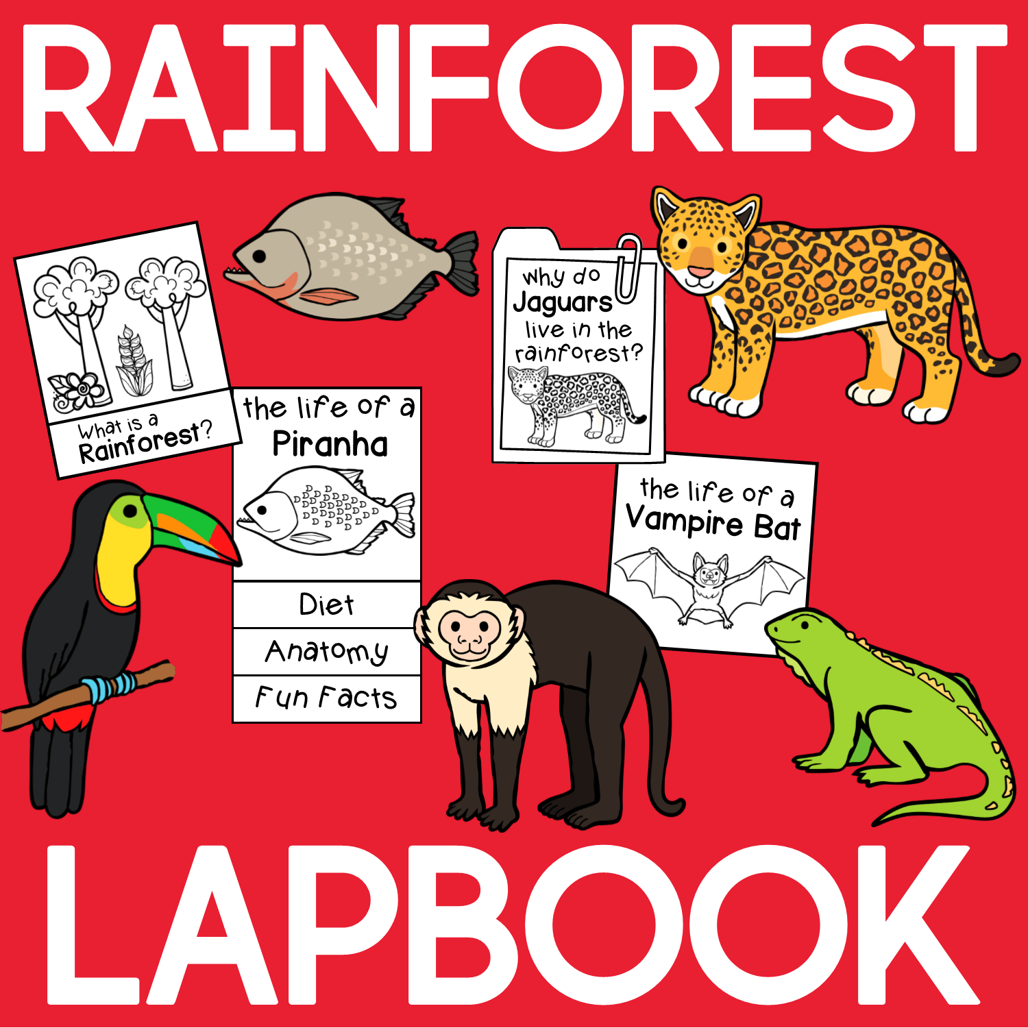 Rainforest Lapbook – The Tip-Top Printables Shop