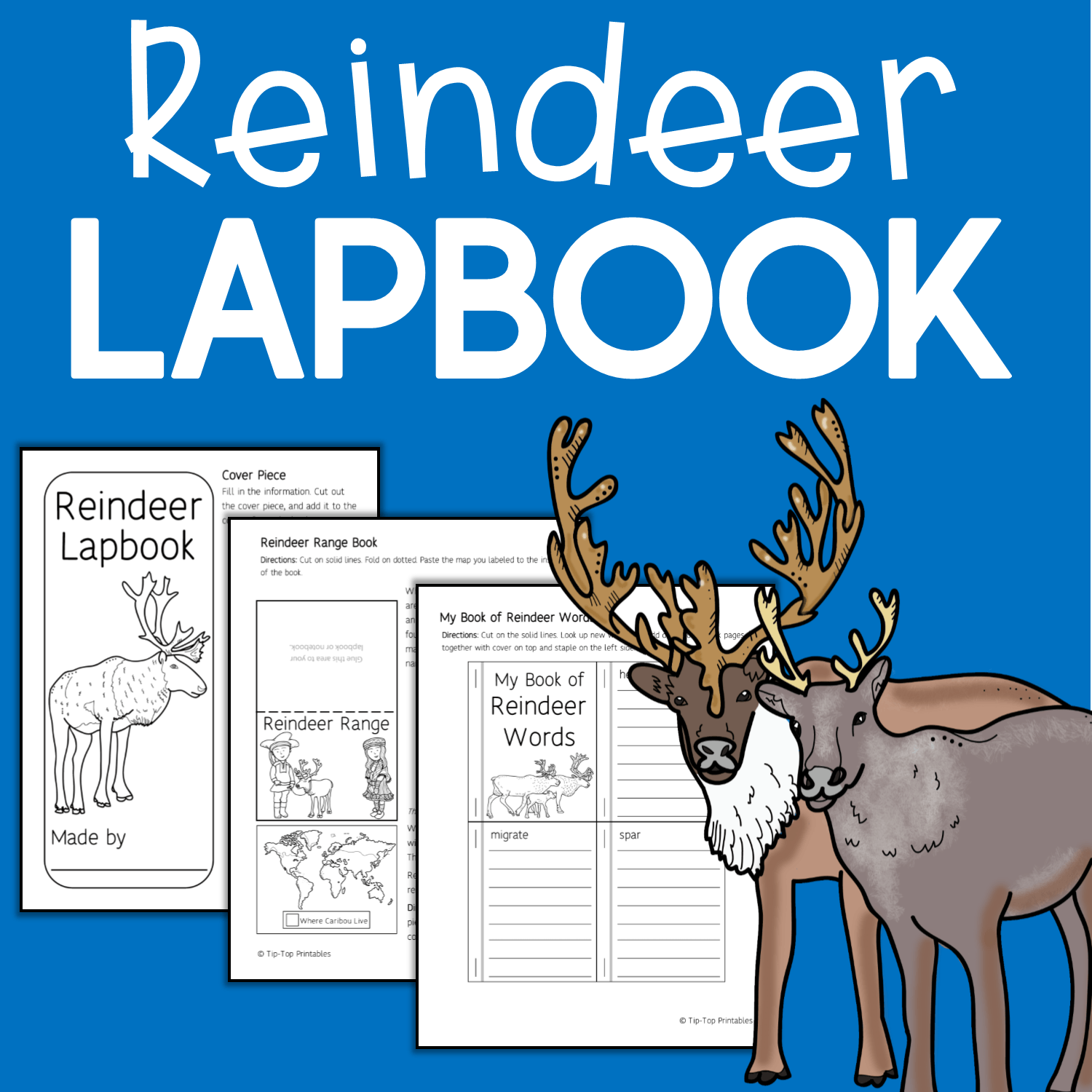 Reindeer Lapbook – The Tip-Top Printables Shop