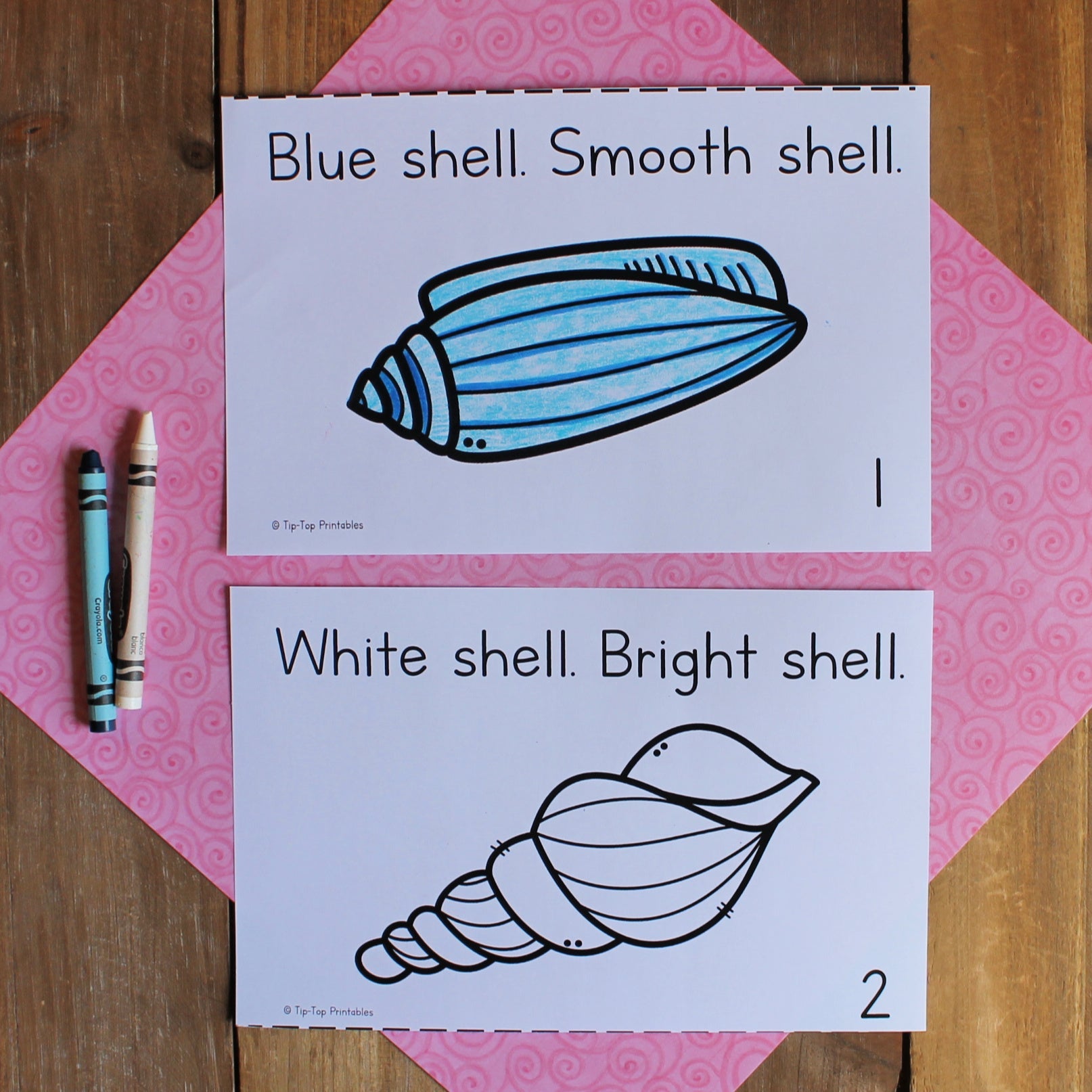 Shells Emergent Reader – The Tip-Top Printables Shop