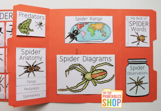 Spider Lapbook – The Tip-Top Printables Shop