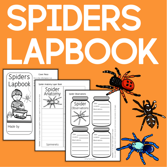 Spider Lapbook – The Tip-Top Printables Shop