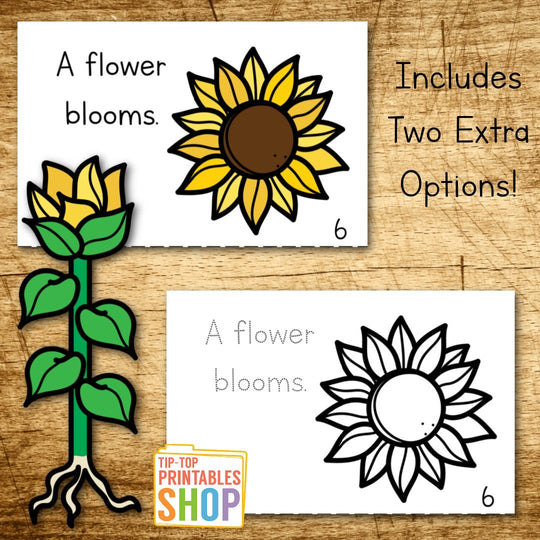 Sunflower Life Cycle Emergent Reader – The Tip-Top Printables Shop